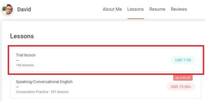 Private online English lessons