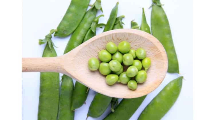 “a little” and “a few ” to describe quantity